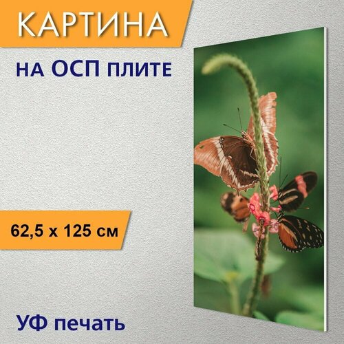 Вертикальная картина на ОСП "Бабочка, моль, насекомое" 62x125 см. для интерьериа