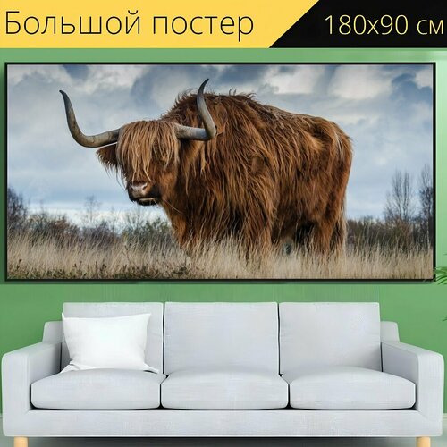 Большой постер "Высокогорная корова, бык, крупный рогатый скот" 180 x 90 см. для интерьера