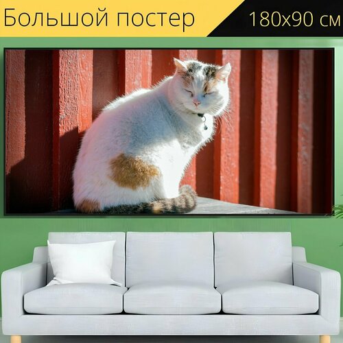 Большой постер "Кошка, котенок, животное" 180 x 90 см. для интерьера