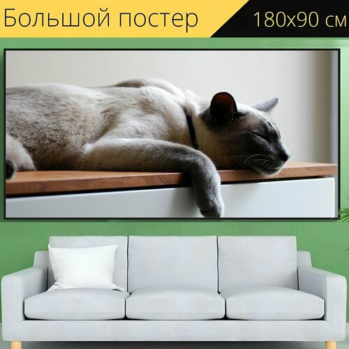 Большой постер "Кошка, домашние животные, сиамский" 180 x 90 см. для интерьера
