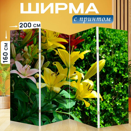 Ширма перегородка с принтом "Желтые цветы, зеленый, пастбище" на холсте - 200x160 см. для зонирования, раскладная