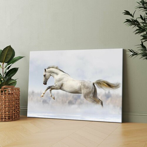 Картина на холсте (Белая лошадь скачет по снегу) 30x40 см. Интерьерная, на стену.