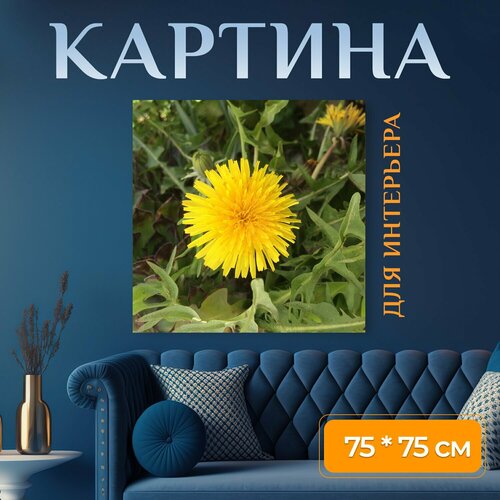 Картина на холсте "Одуванчик, цветок, дикий цветок" на подрамнике 75х75 см. для интерьера