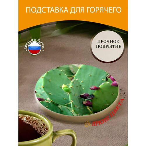 Подставка под горячее "Опунция, кактус, завод" 10 см. из блого мрамора