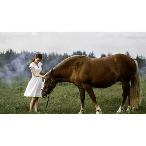 Картина на холсте 60x110 LinxOne "Конь девушка природа" интерьерная для дома / на стену / на кухню / с подрамником