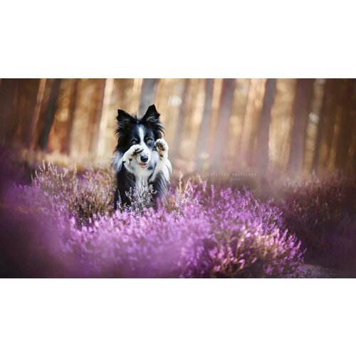 Картина на холсте 60x110 LinxOne "Цветы мордочка щенок друг" интерьерная для дома / на стену / на кухню / с подрамником