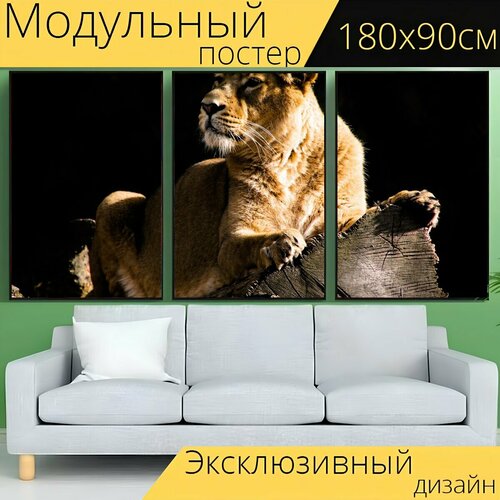 Модульный постер "Дикая природа, лев, хищник" 180 x 90 см. для интерьера