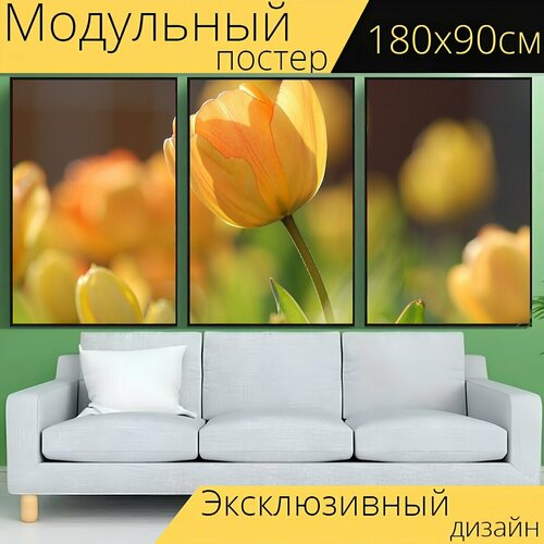Модульный постер "Тюльпаны, желтые тюльпаны, цветы" 180 x 90 см. для интерьера