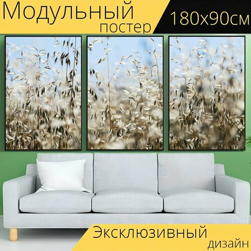 Модульный постер "Пшеница, поле, зерно" 180 x 90 см. для интерьера