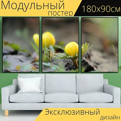 Модульный постер "Цветок, жёлтый, весна" 180 x 90 см. для интерьера