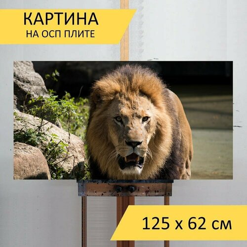 Картина на ОСП 125х62 см. "Лев, хищник, мужской" горизонтальная, для интерьера, с креплениями