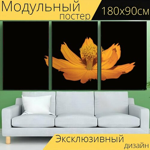 Модульный постер "Цветок, хризантема, графика" 180 x 90 см. для интерьера