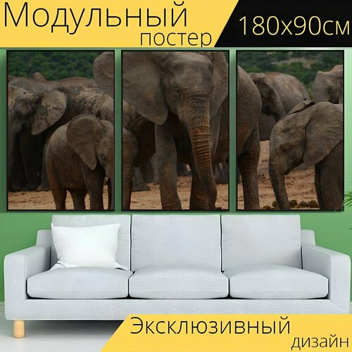 Модульный постер "Африке, сафари, слон" 180 x 90 см. для интерьера
