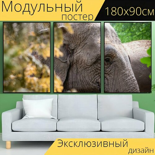 Модульный постер "Слон, животное, природа" 180 x 90 см. для интерьера