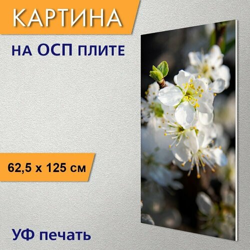 Вертикальная картина на ОСП "Весенние цветы, блум, цветок весны" 62x125 см. для интерьериа