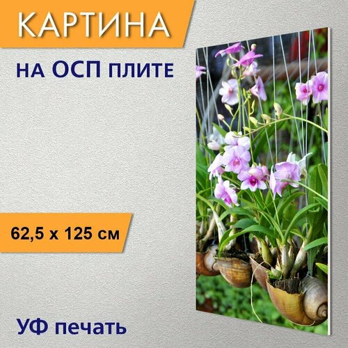 Вертикальная картина на ОСП "Орхидея, азия, оболочка" 62x125 см. для интерьериа