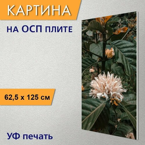 Вертикальная картина на ОСП "Кофе, лист, цветы" 62x125 см. для интерьериа