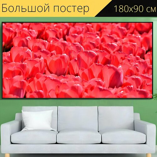 Большой постер "Тюльпаны, красный, цветок" 180 x 90 см. для интерьера