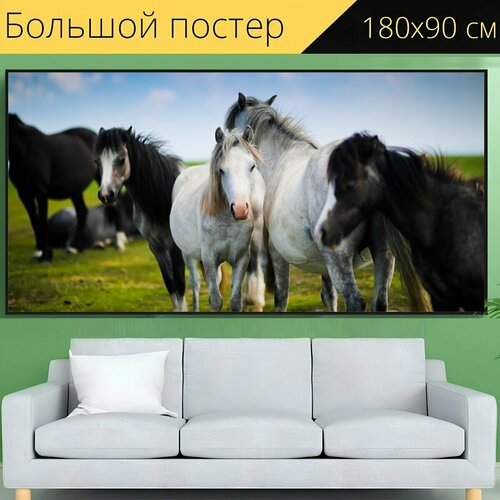 Большой постер "Животные, лошадь, ферма" 180 x 90 см. для интерьера