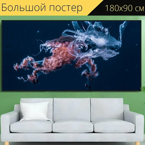 Большой постер "Медуза, водный, животное" 180 x 90 см. для интерьера