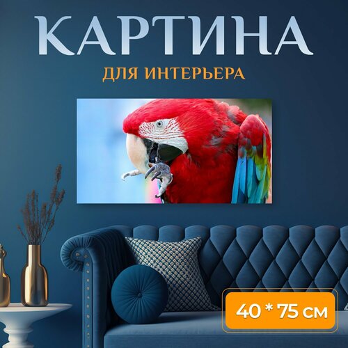 Картина на холсте "Попугай, птица, коготь" на подрамнике 75х40 см. для интерьера