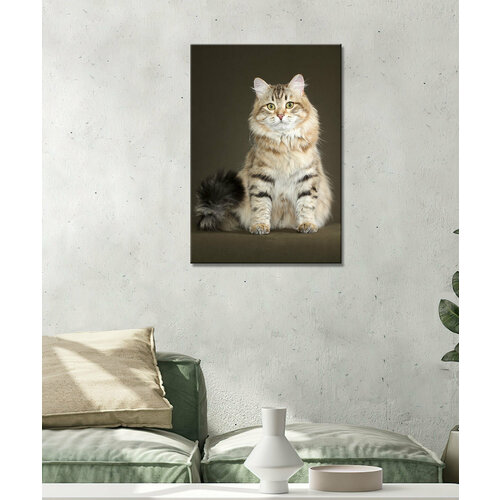 Картина - кошка, сибирская кошка, домашняя кошка, ласковая кошка, полудлинношёрстная кошка, кот (104) 20х30