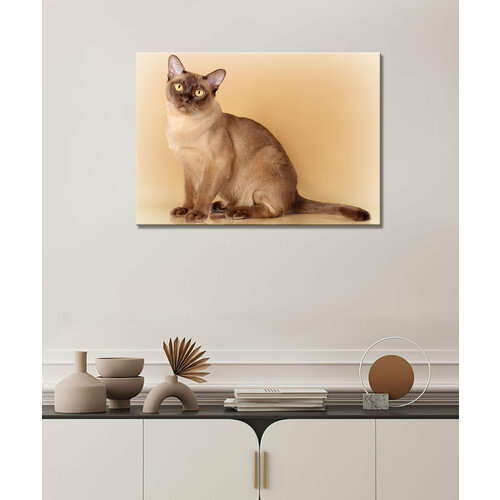Картина - кошка, бурманская кошка, кот, тёмная кошка, ласковая кошка (36) 30х40