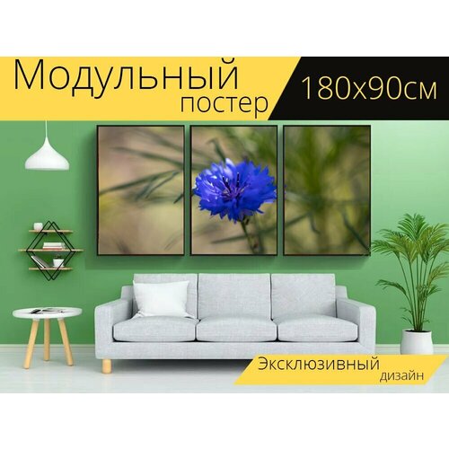 Модульный постер "Васильковый, полевой цветок, васильки" 180 x 90 см. для интерьера