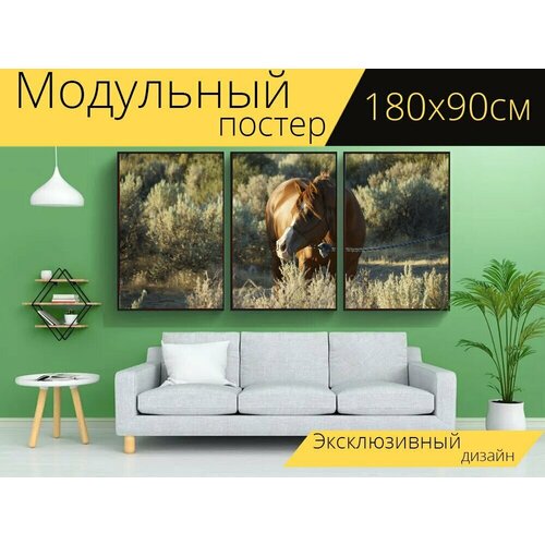 Модульный постер "Пони, лошадь, летом" 180 x 90 см. для интерьера