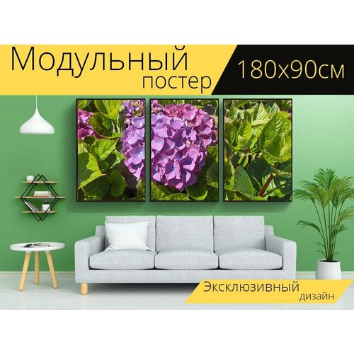 Модульный постер "Гортензия, гортензии, цветы" 180 x 90 см. для интерьера