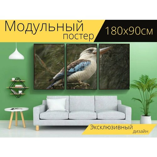 Модульный постер "Кукабарра, птица, австралия" 180 x 90 см. для интерьера