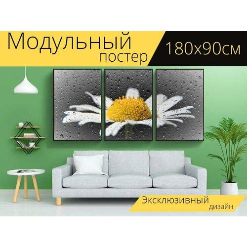 Модульный постер "Маргарита, цвести, дождь" 180 x 90 см. для интерьера