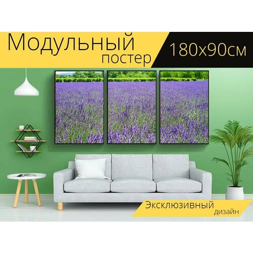 Модульный постер "Лаванда, сиреневое поле, цветы лаванда" 180 x 90 см. для интерьера