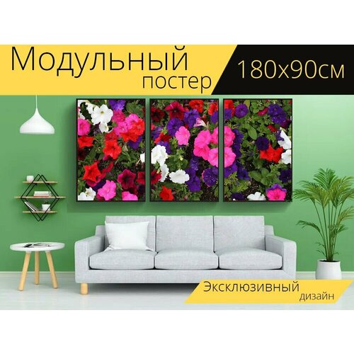 Модульный постер "Петуния, цветок, цвета" 180 x 90 см. для интерьера