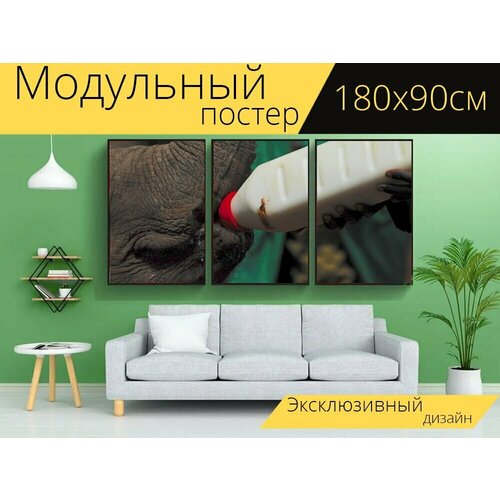 Модульный постер "Слоны, бутылочка для кормления, найроби" 180 x 90 см. для интерьера