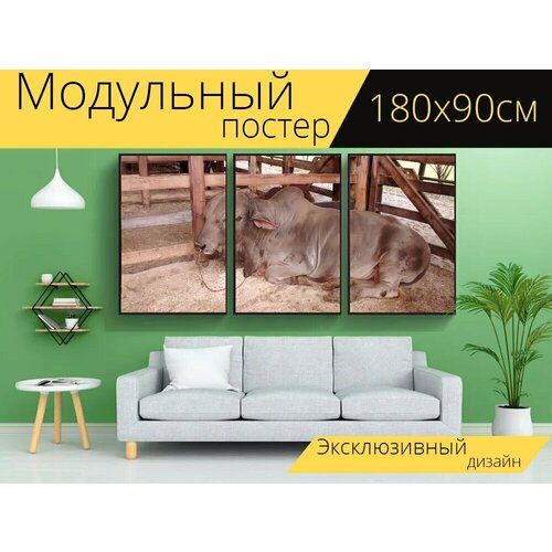 Модульный постер "Корова, животная природа, дикие" 180 x 90 см. для интерьера