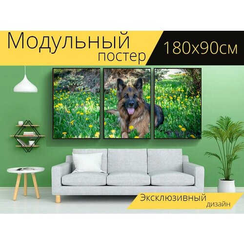 Модульный постер "Немецкая овчарка, собака, овчарка" 180 x 90 см. для интерьера