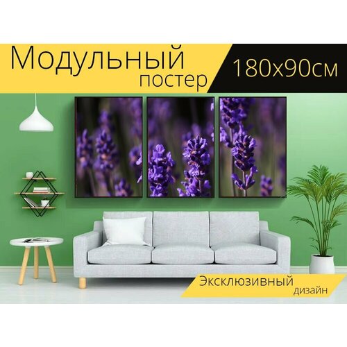 Модульный постер "Лаванда, фиолетовый, цветы лаванда" 180 x 90 см. для интерьера
