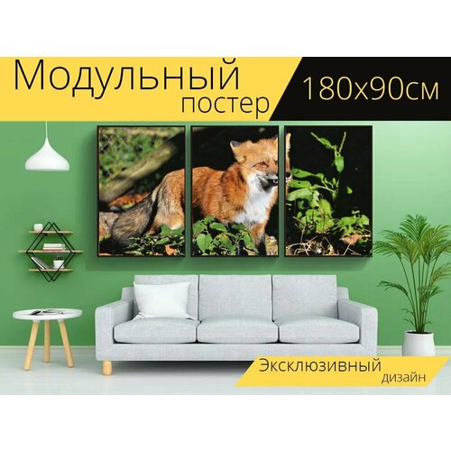 Модульный постер "Рыжая лиса, лиса, дикое животное" 180 x 90 см. для интерьера