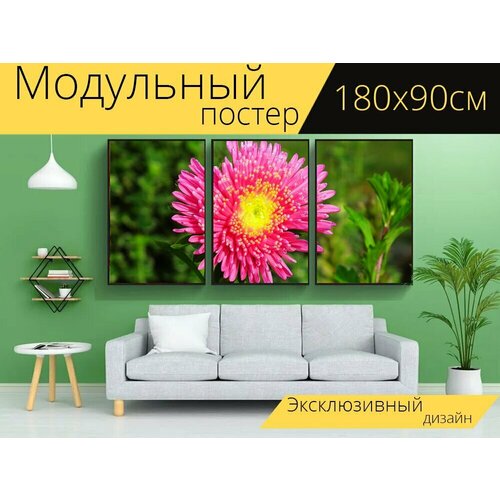 Модульный постер "Цветок, астра, лепестки" 180 x 90 см. для интерьера