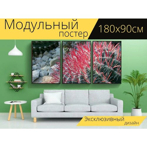 Модульный постер "Кактус, кактусов, колючий" 180 x 90 см. для интерьера