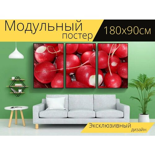 Модульный постер "Редис, овощи, красные шары" 180 x 90 см. для интерьера