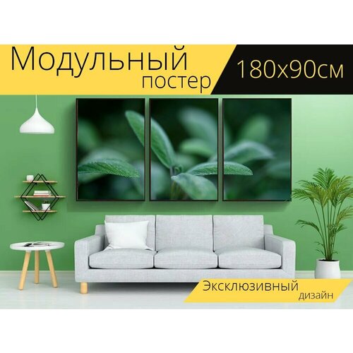 Модульный постер "Мудрец, листья, травы" 180 x 90 см. для интерьера