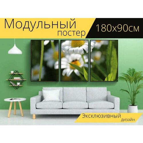 Модульный постер "Ромашка, цветок, луг" 180 x 90 см. для интерьера