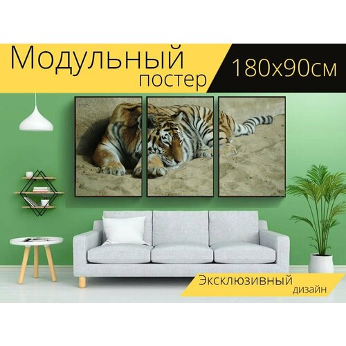 Модульный постер "Тигр, зоопарк, дикое животное" 180 x 90 см. для интерьера