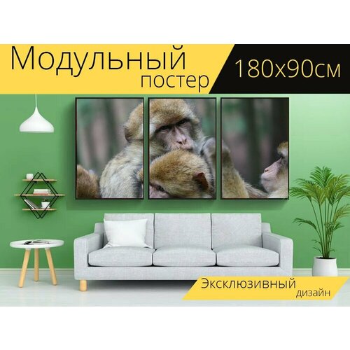 Модульный постер "Обезьяны, животные, обнимать" 180 x 90 см. для интерьера