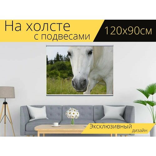 Картина на холсте "Лошадь, белый, белая лошадь" с подвесами 120х90 см. для интерьера