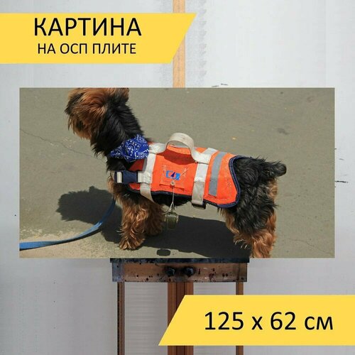 Картина на ОСП 125х62 см. "Собака, спасательный жилет, трубка" горизонтальная, для интерьера, с креплениями