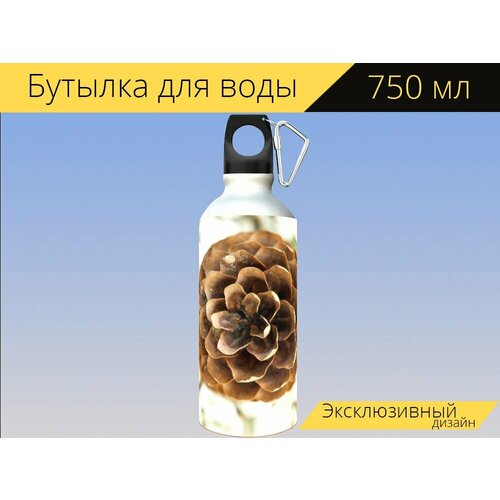Бутылка фляга для воды "Еловые шишки, шишка, хвойное дерево" 750 мл. с карабином и принтом