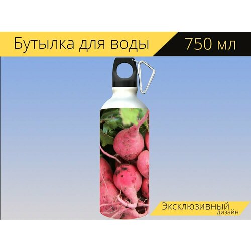 Бутылка фляга для воды "Редис, овощ, красный редис" 750 мл. с карабином и принтом